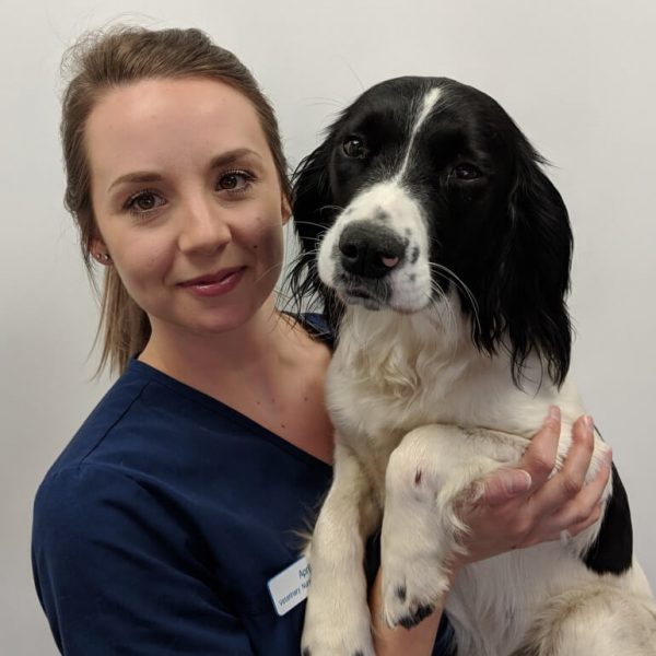 Meet the Nurses - Bay Vet Group | Teignmouth,Dawlish,Torquay, Paignton