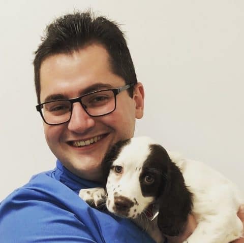 Meet the Vet Team | Bay Vet Group - Dedicated and caring