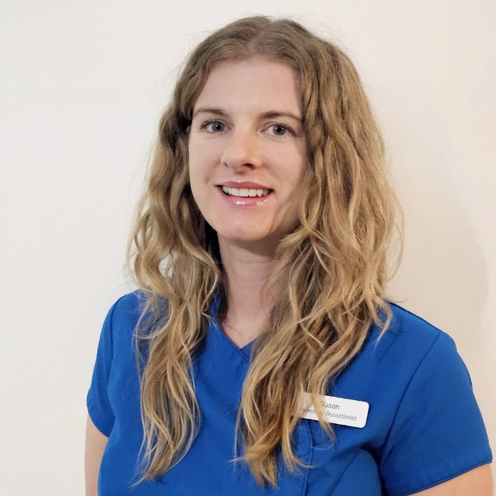 Meet The Admin Team - Bay Vet Group | Dedicated and caring